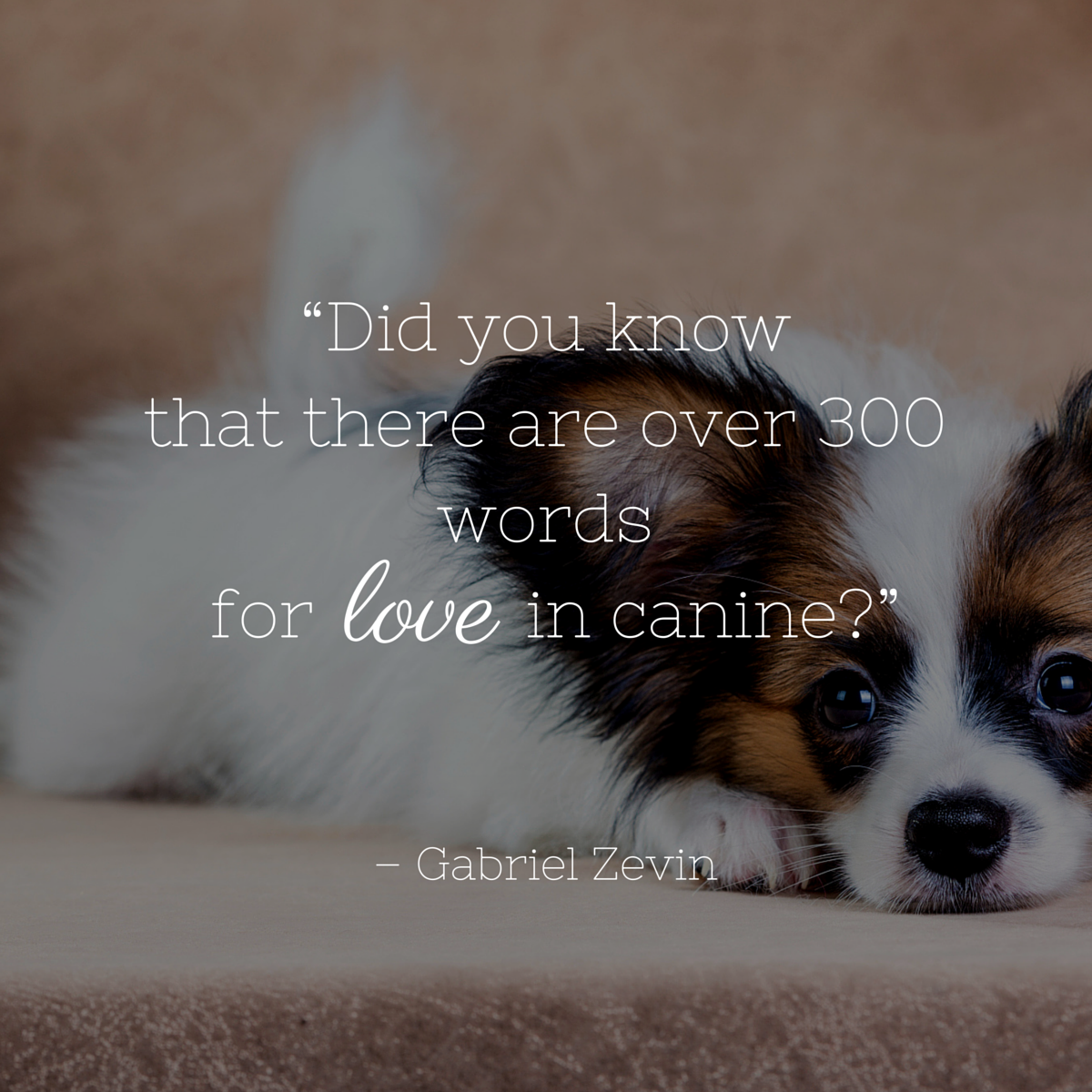 36 Love Dog Quotes Cute All Sport Balls 36 Love Dog Quotes Cute All Sport Balls
