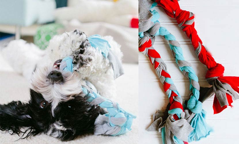 How To Make Your Own Dog Toys