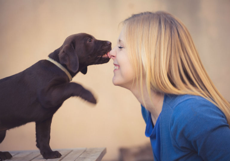 How Are Dogs Useful To Humans